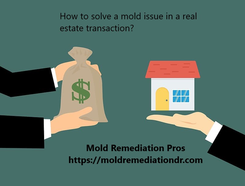 How to solve a mold issue in a real estate transaction? - Mold ...